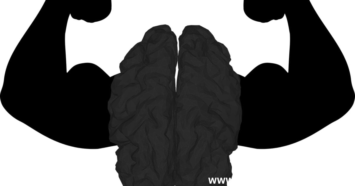 How To Improve Brain Function Through Exercise
